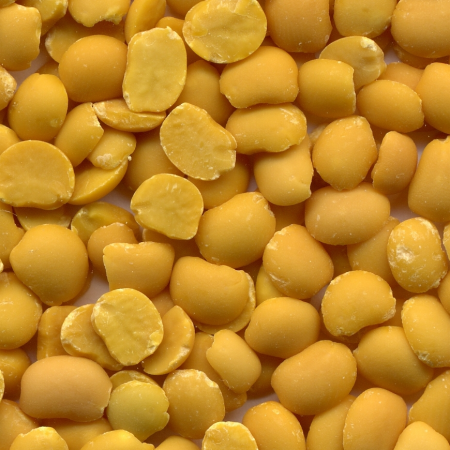 Lupins for Human - Coorow Seeds